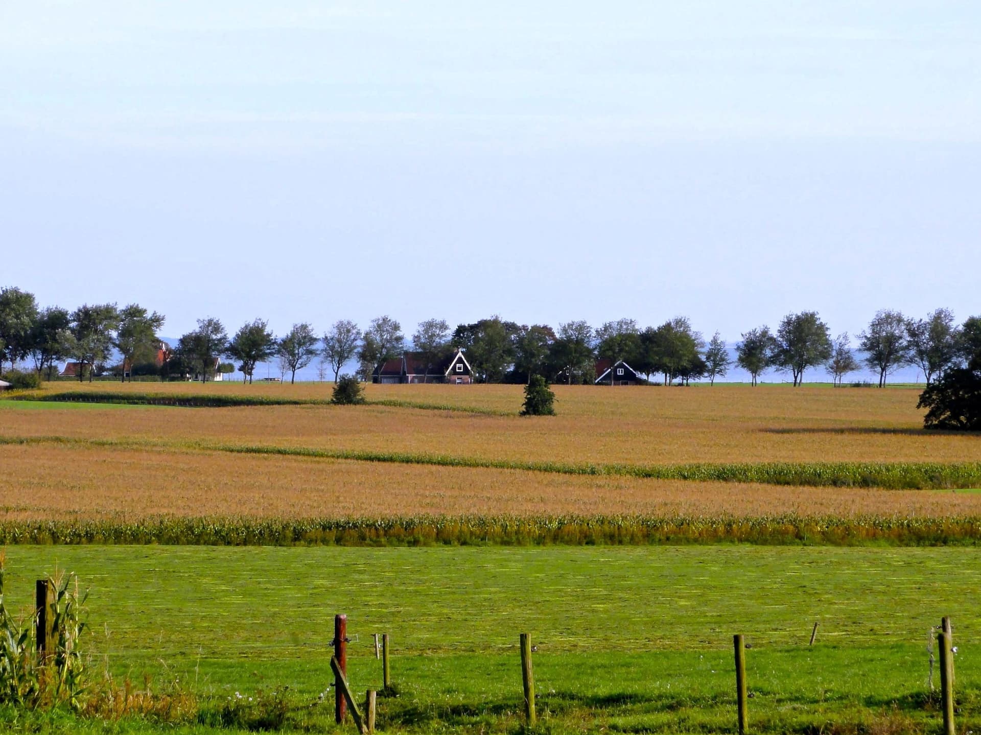 Best Beef Farms in Pennsylvania | Top Local Cattle Farms | Field & Cattle